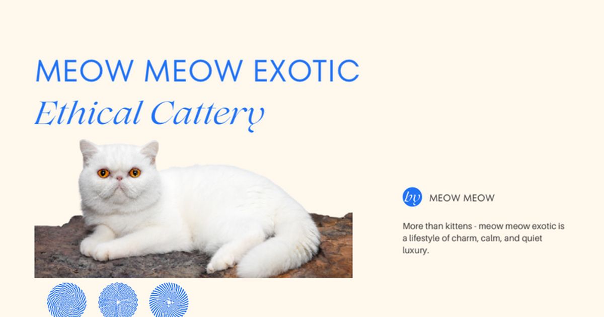 Meow Meow Exotic